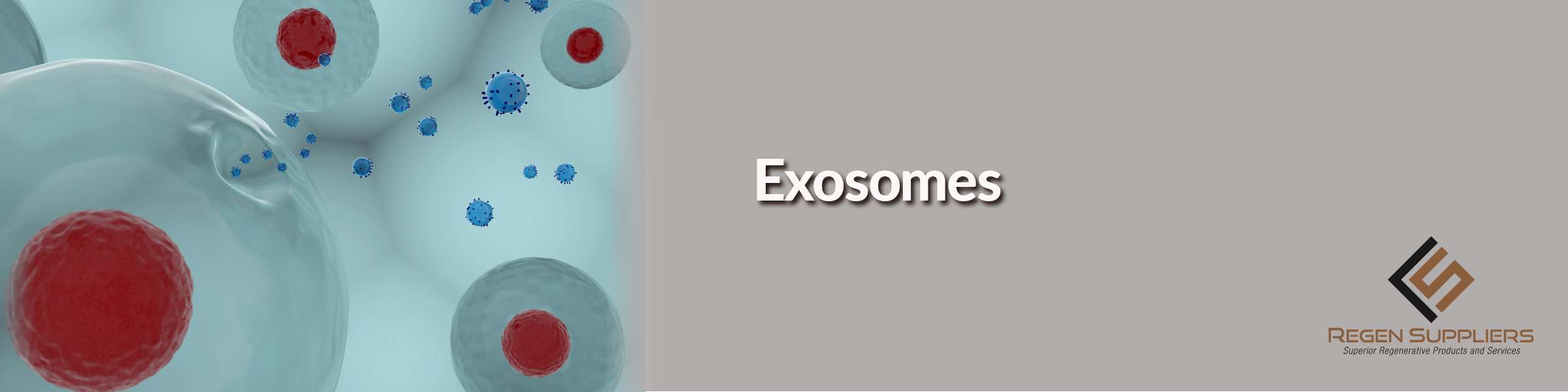 Exosomes - Aesthetics